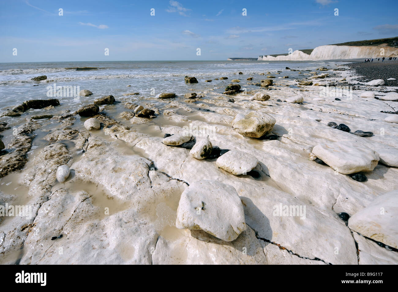 Chalk beach and cliffs along the Seven Sisters viewed from Birling Gap ...