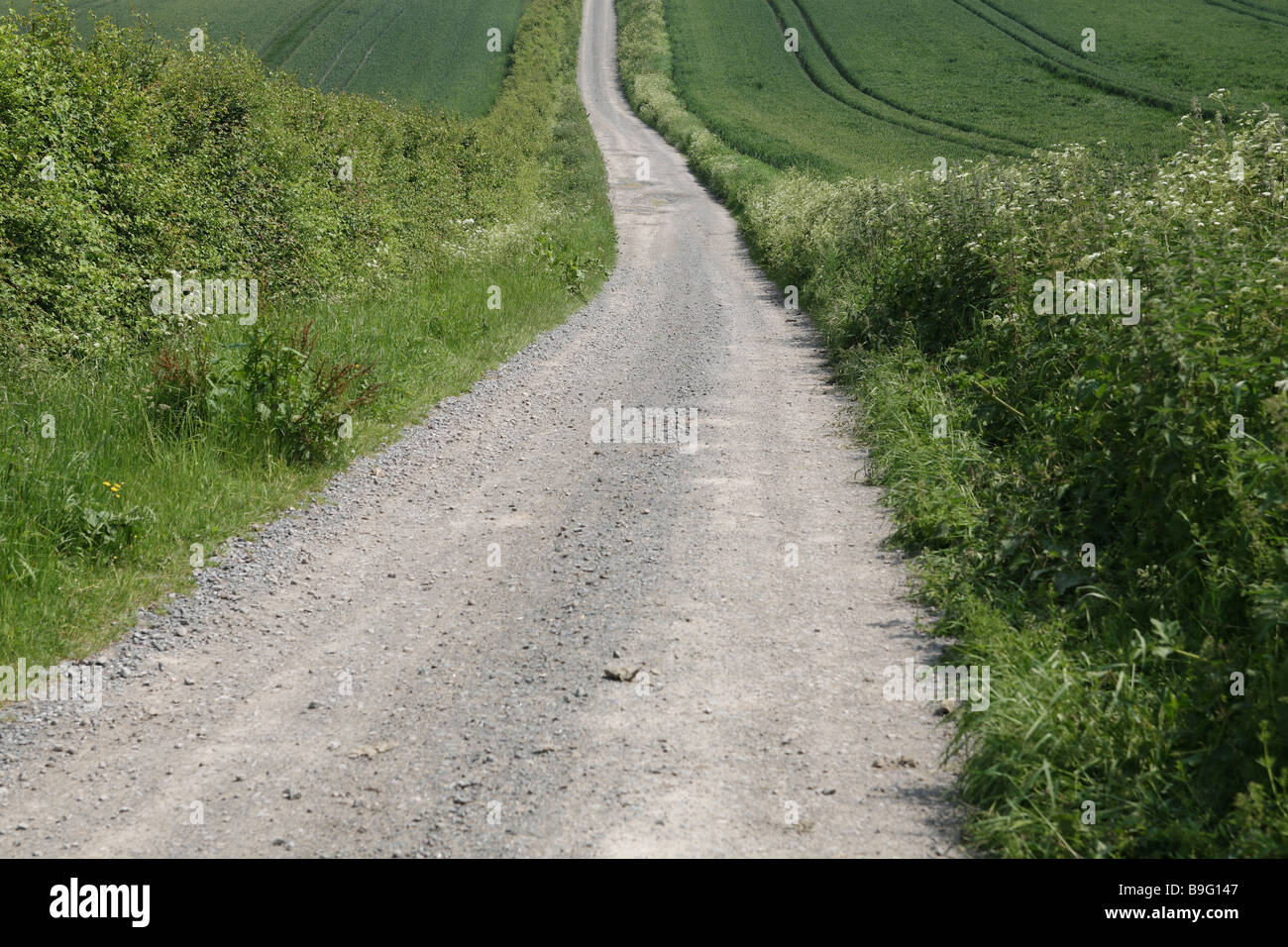 Unmade path hi-res stock photography and images - Alamy
