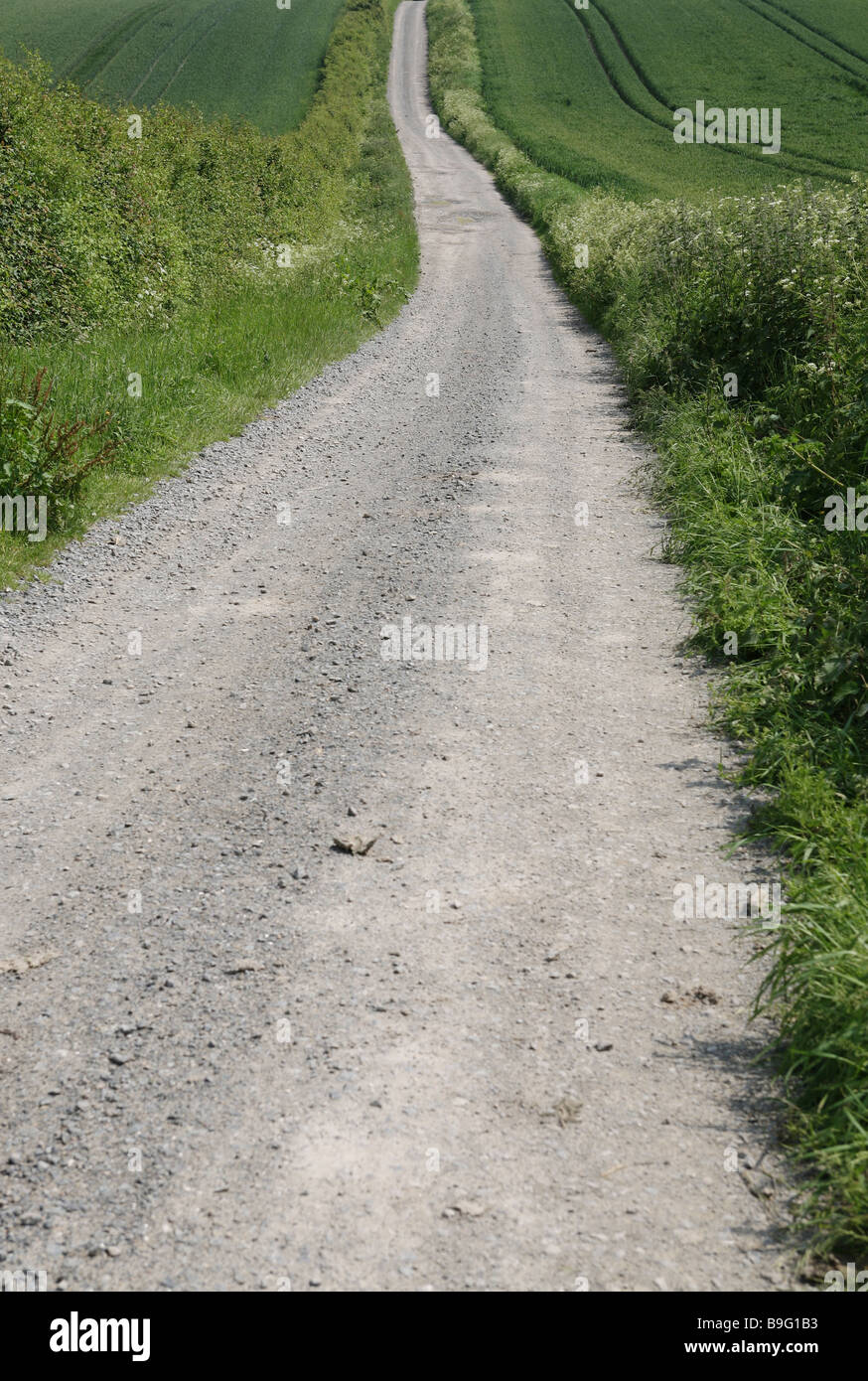 An unmade country track Stock Photo - Alamy