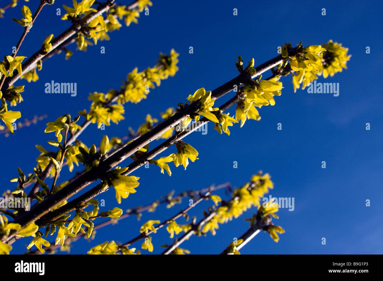 Spring start up hi-res stock photography and images - Alamy