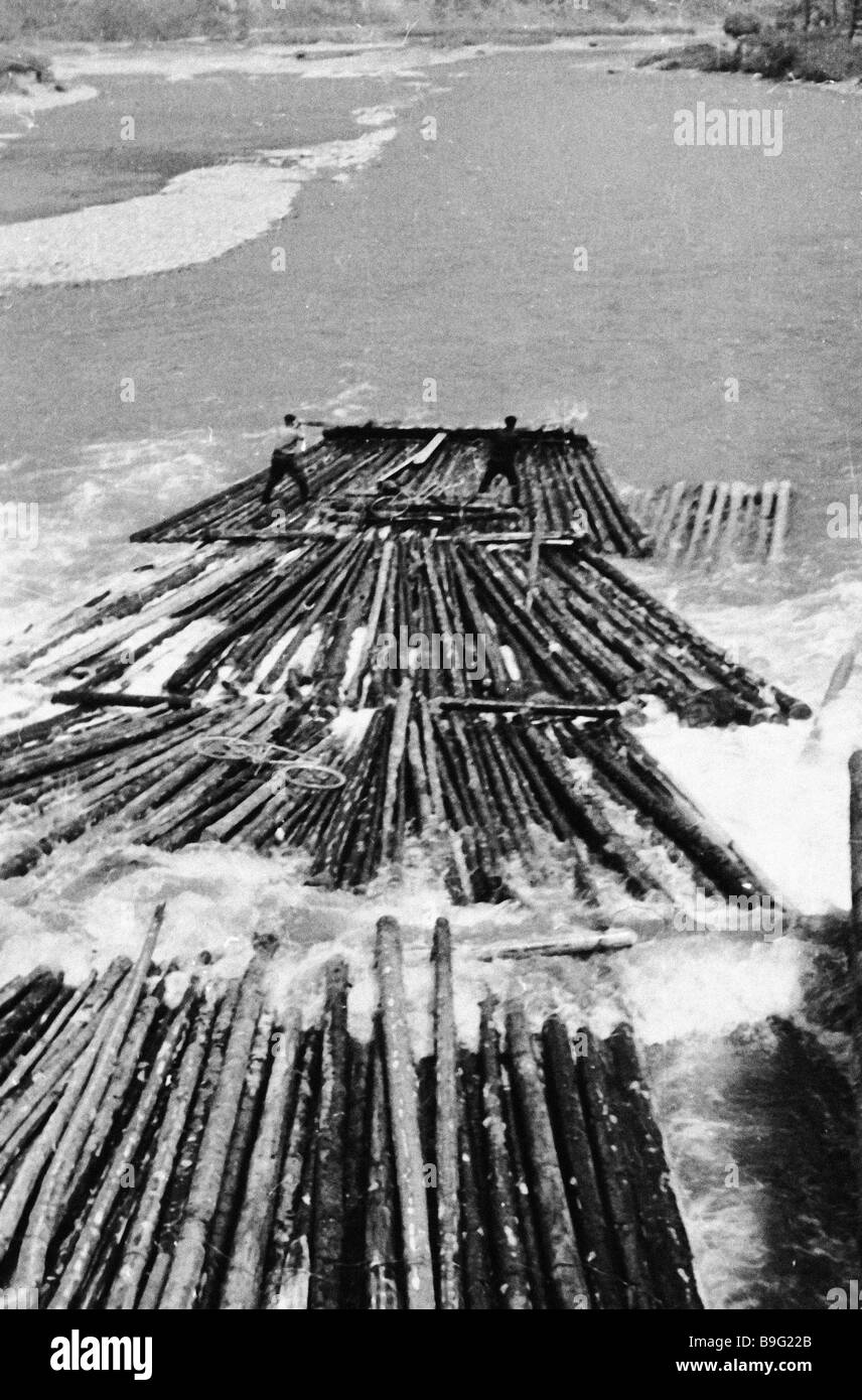 Timber rafting on the Cheremosh River Stock Photo - Alamy