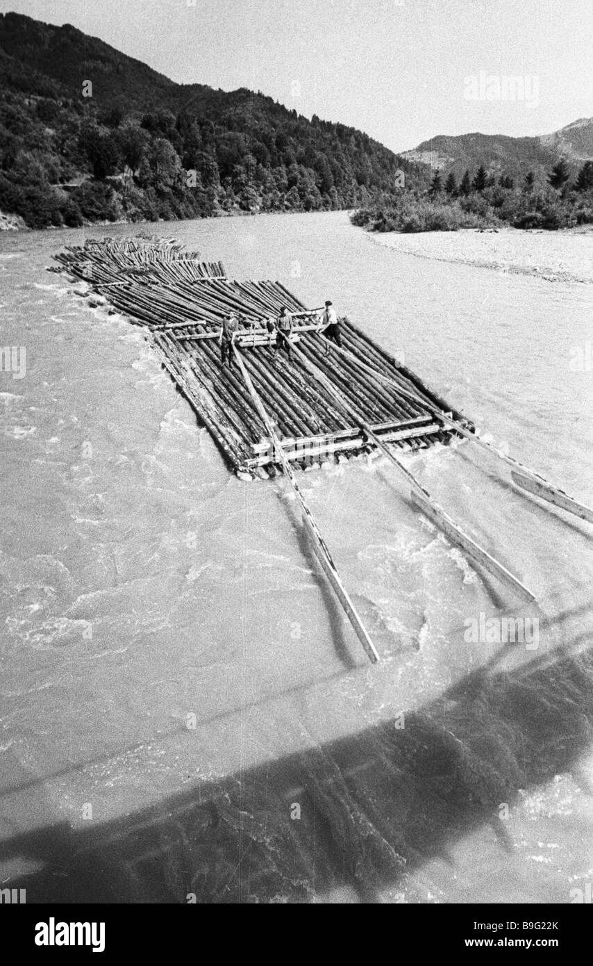 Timber rafting on the Cheremosh River Stock Photo - Alamy