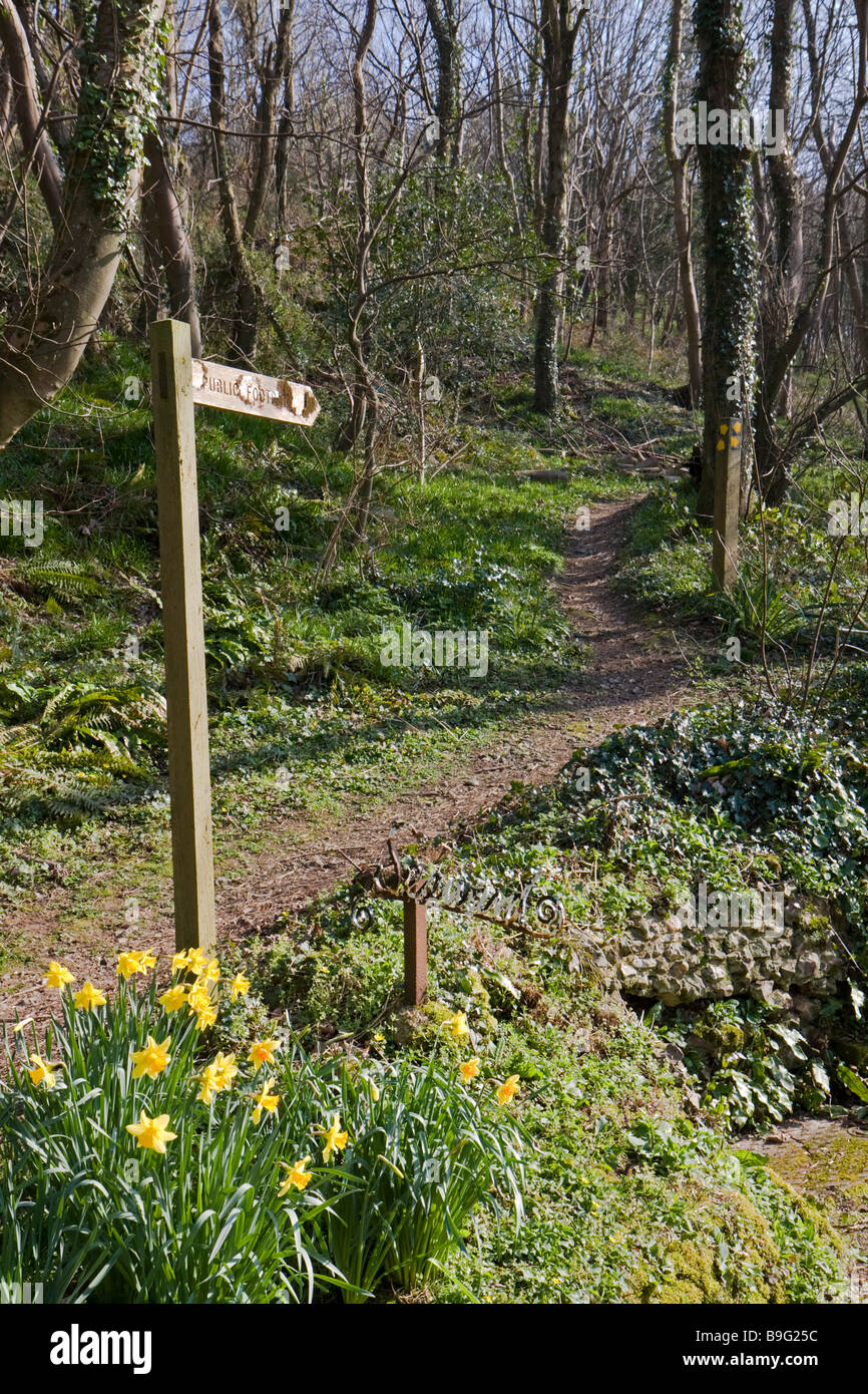 Footpath in East Devon in spring Stock Photo - Alamy