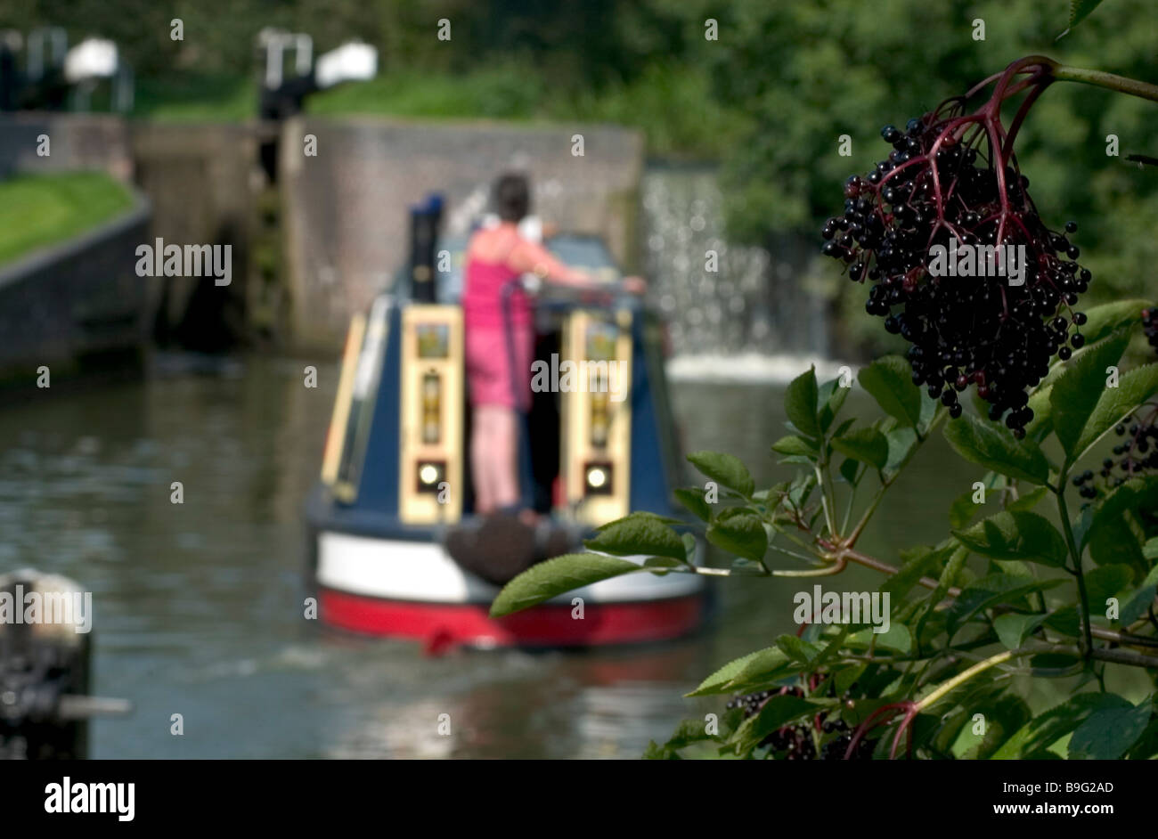 Rear view of canal boat being steered on river England Stock Photo - Alamy
