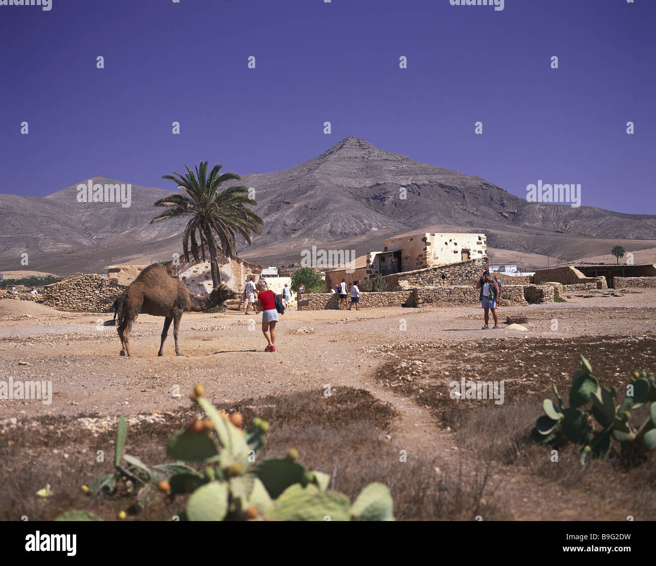 Spain Canaries island Fuerteventura Teifa open-air-museum Ecomuseo La ...