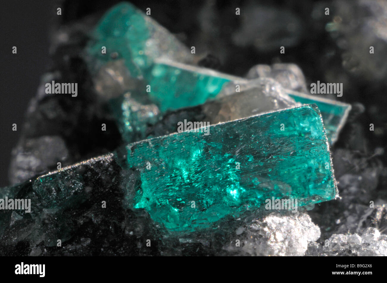 Emerald hi-res stock photography and images - Alamy