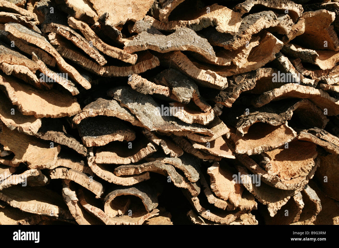 Italy Sardinia cork-oaks bark Stock Photo - Alamy