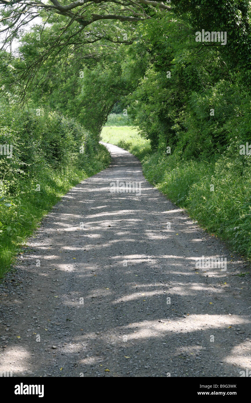 An unmade country track Stock Photo - Alamy