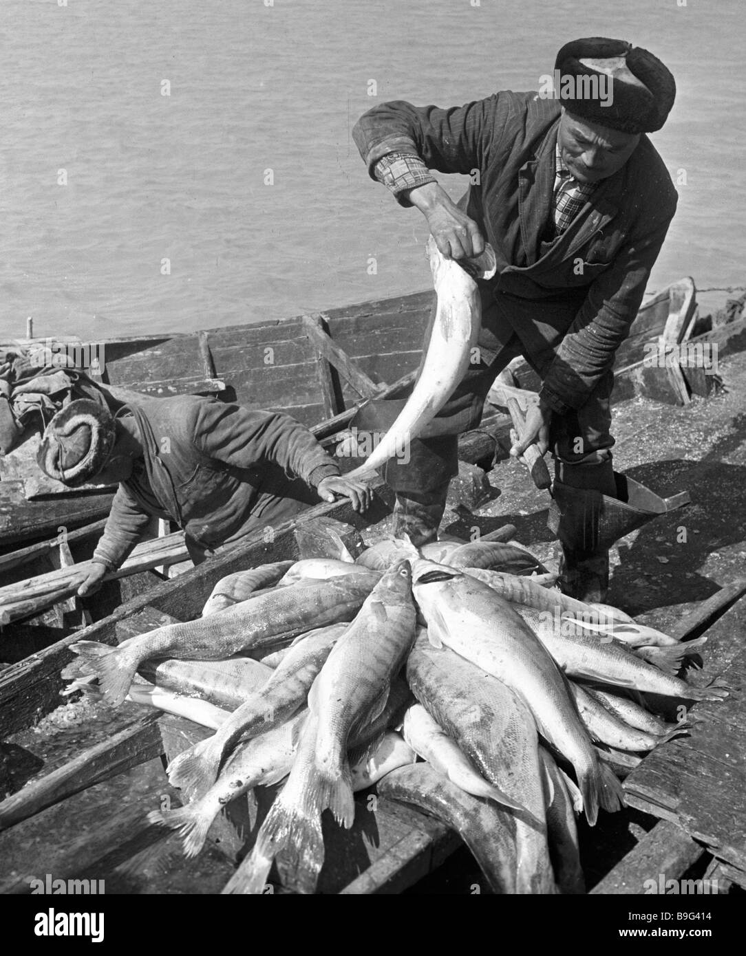 Catching fish in the Aral Sea Stock Photo - Alamy