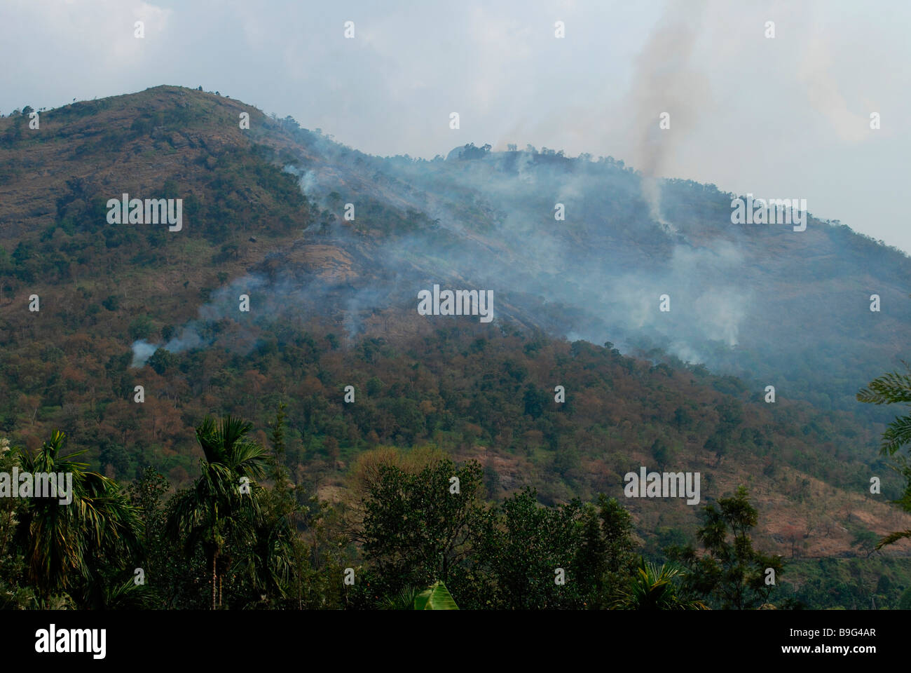 India forest fire hi-res stock photography and images - Alamy
