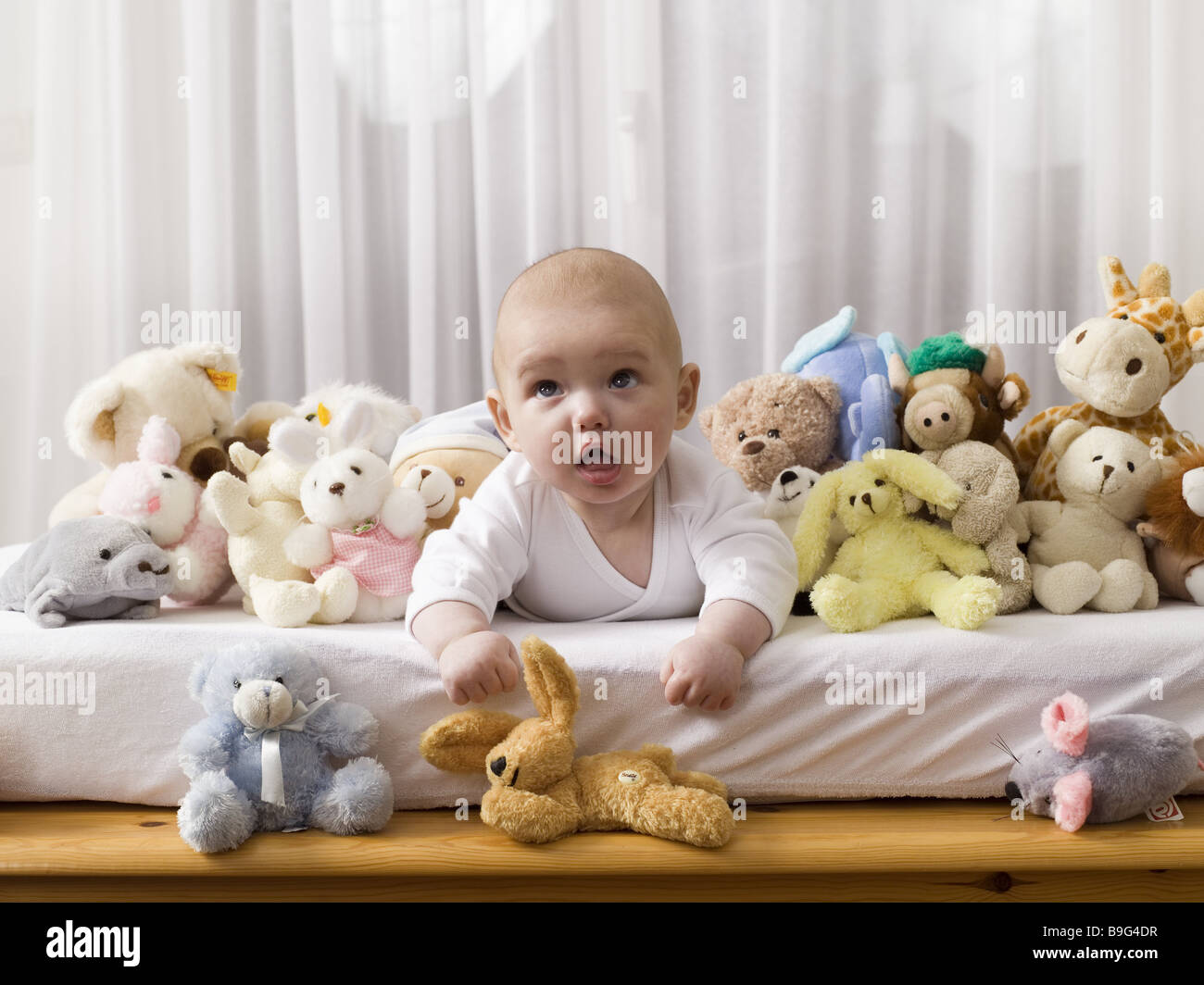 Surprised animals hi-res stock photography and images - Alamy