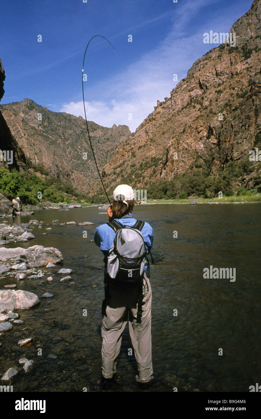 Black canyon gunnison river fish hi-res stock photography and images ...