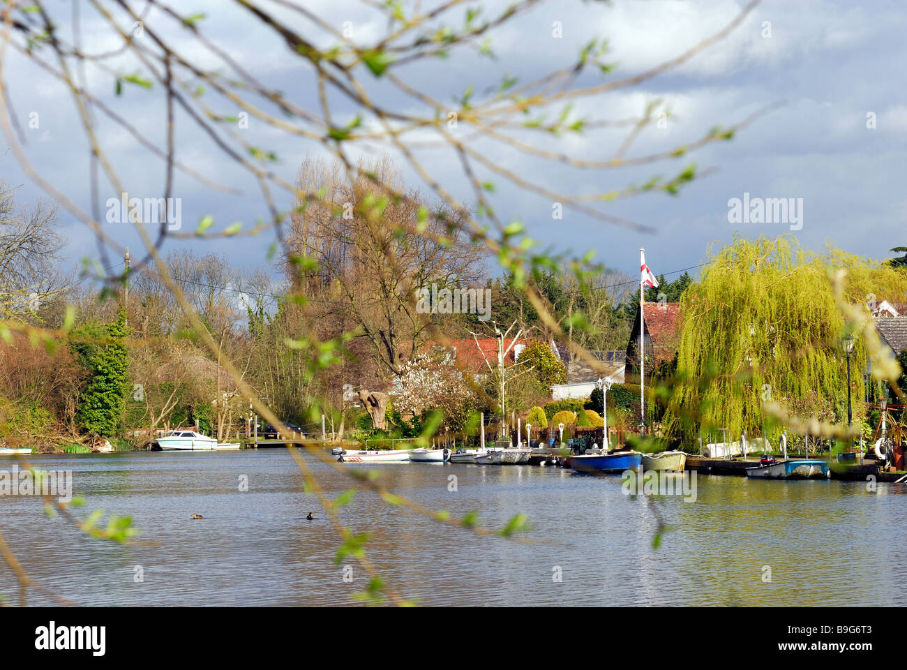 River Thames at Shepperton Stock Photo - Alamy