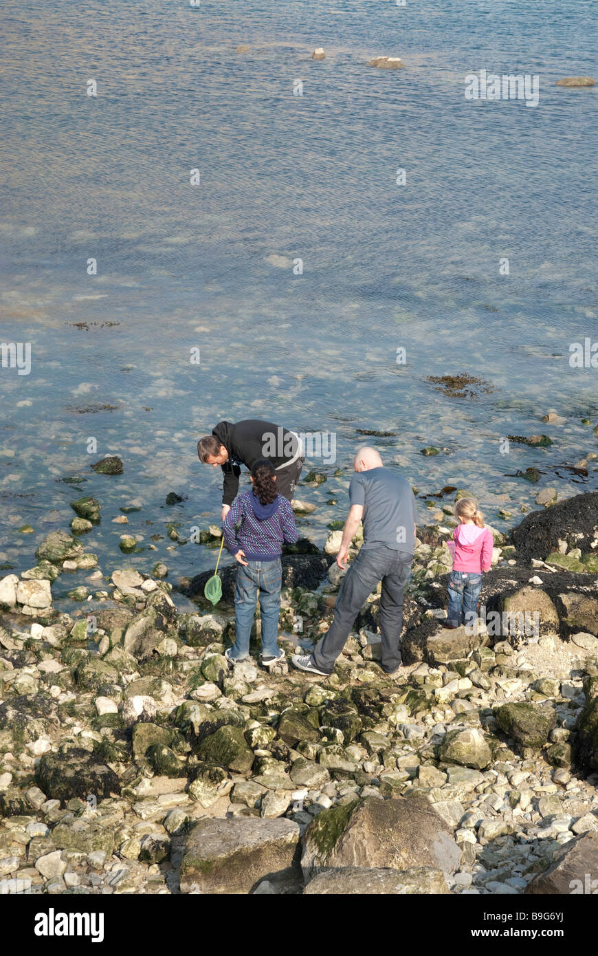 Searching rock pool hi-res stock photography and images - Alamy