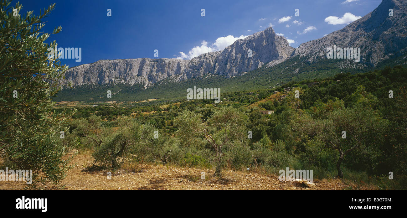 Italy island Sardinia Oliena Monte Cusidore mountain scenery ...