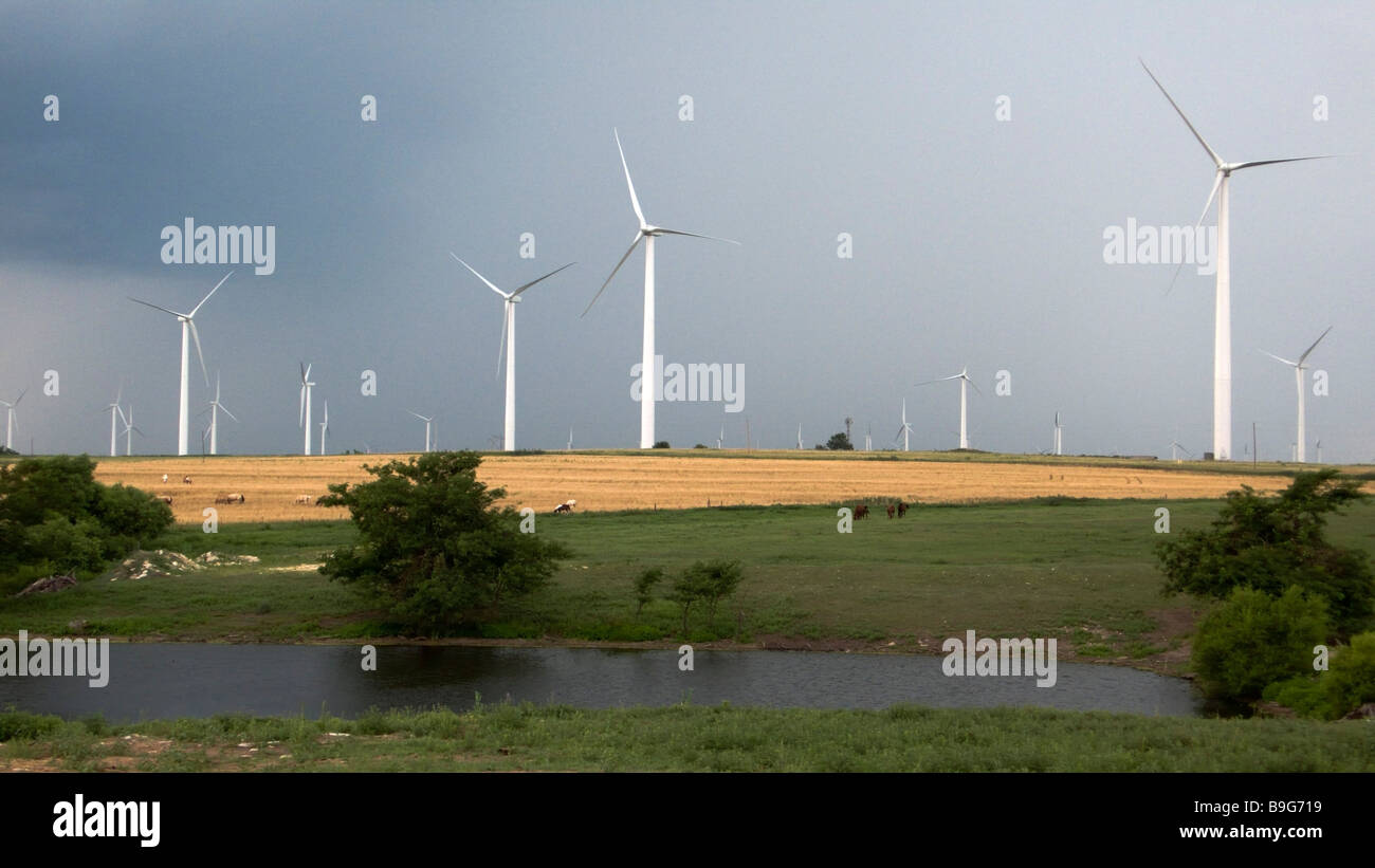 Summer storm approaches wind hi-res stock photography and images - Alamy