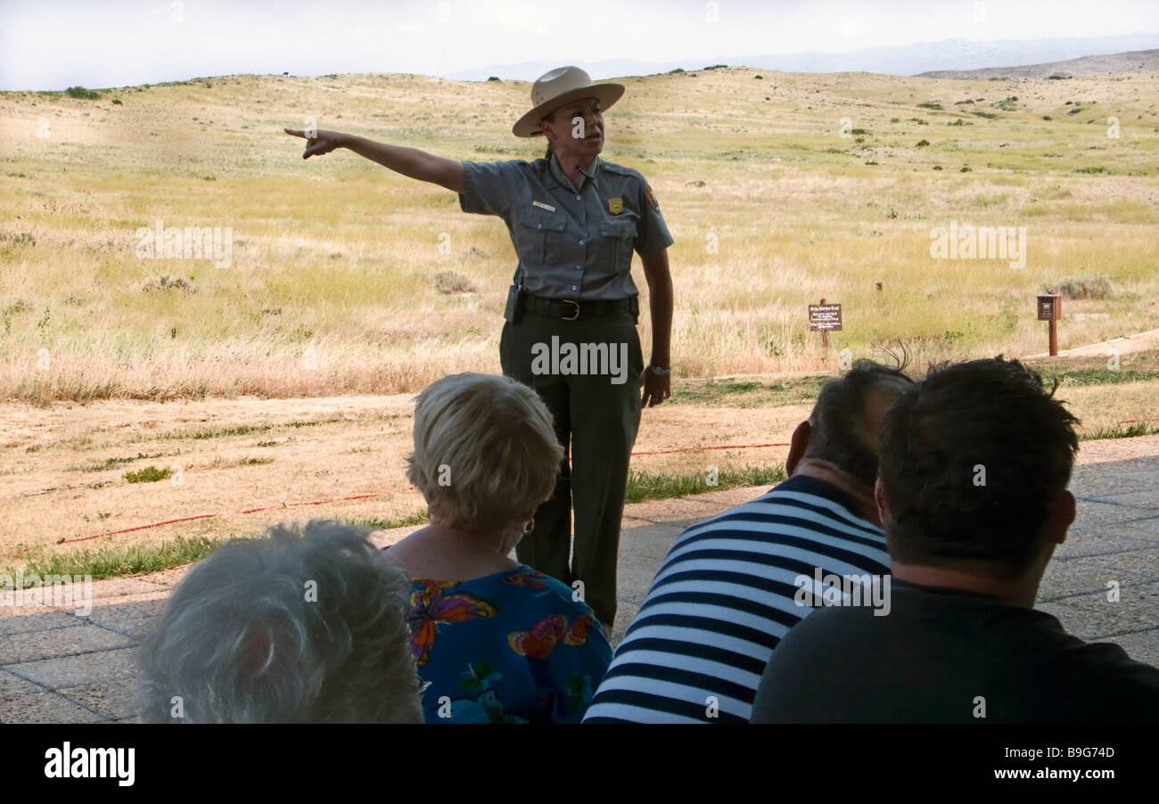 Indian Montana Horse Historical High Resolution Stock Photography and ...