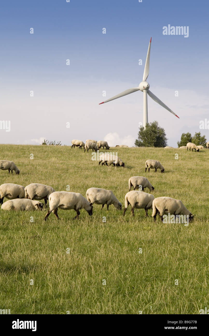 Wind park eastern germany hi-res stock photography and images - Alamy