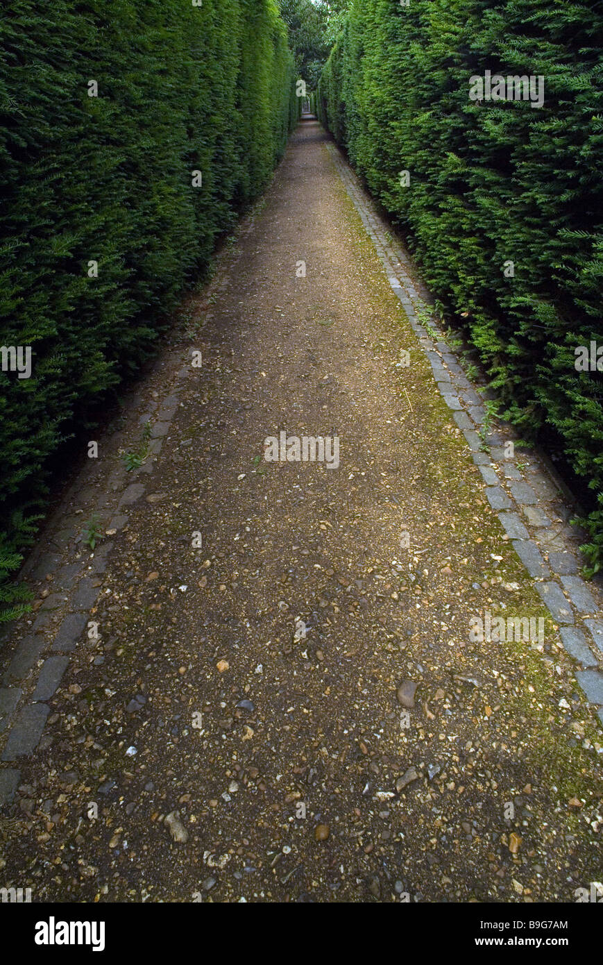 hedged path in chiswick house park Stock Photo - Alamy