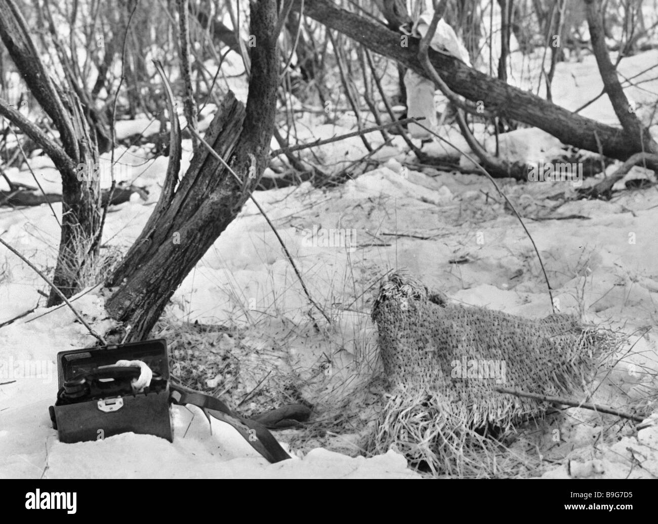 A trench dug and camouflaged by Chinese soldiers on the Soviet Chinese ...
