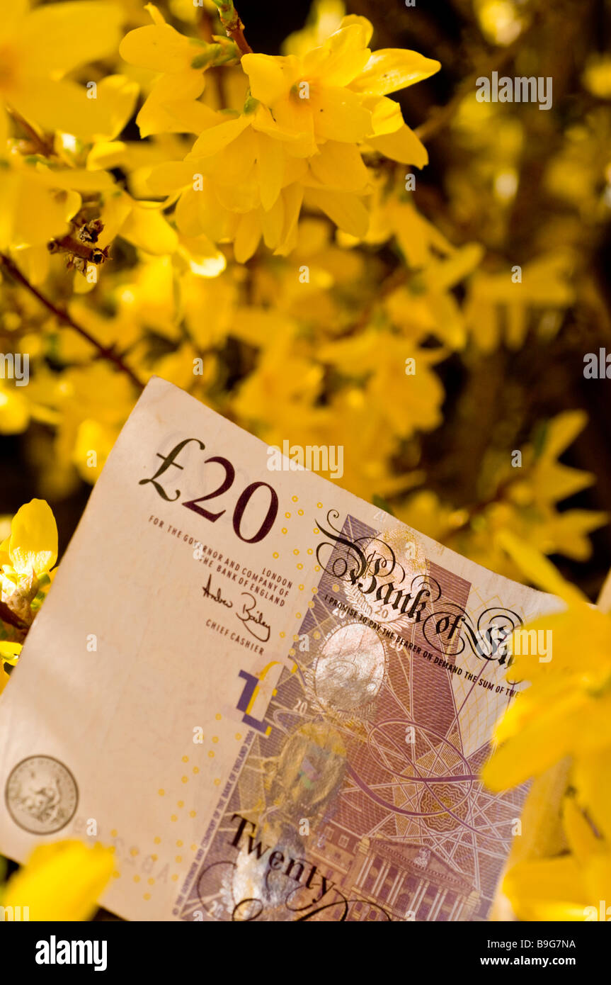 Money tree pounds hi-res stock photography and images - Alamy