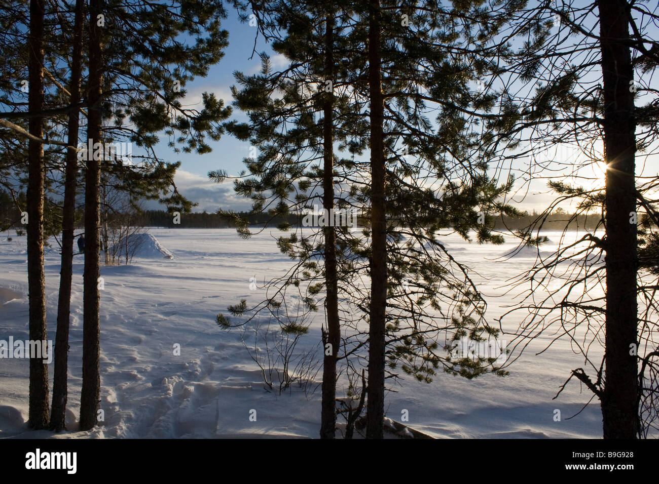 Winter in Oulanka National Park national park in Oulu and Lapland ...