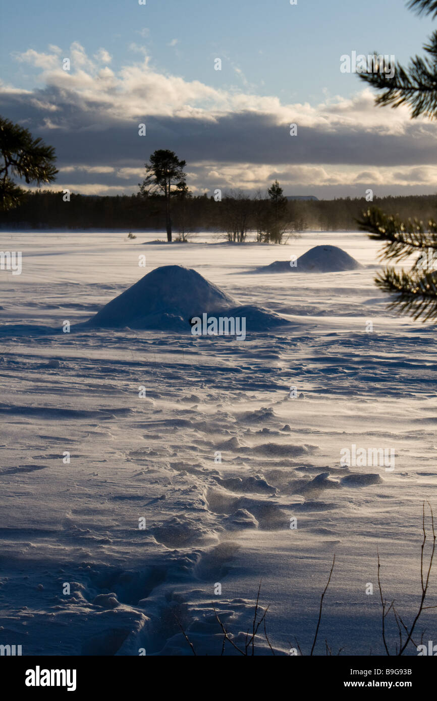 Winter in Oulanka National Park national park in Oulu and Lapland ...