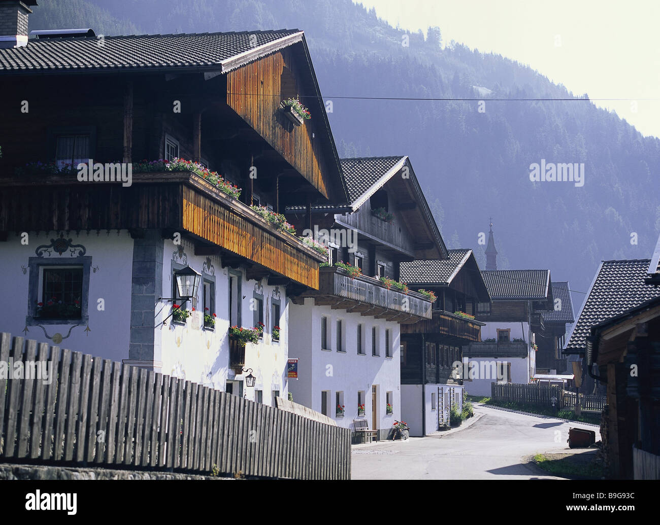 Gail tal hi-res stock photography and images - Alamy