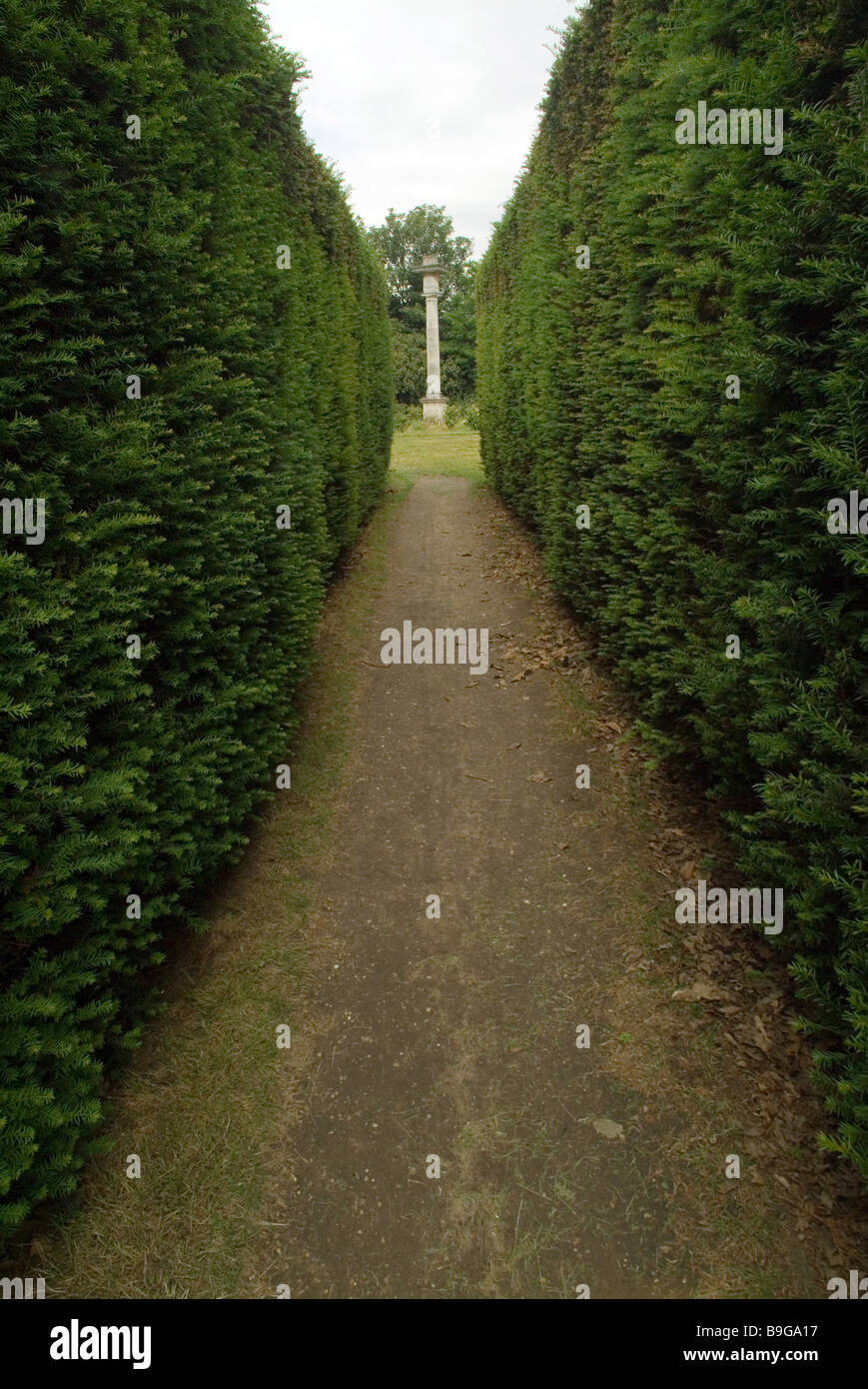 hedged path in chiswick house park Stock Photo - Alamy