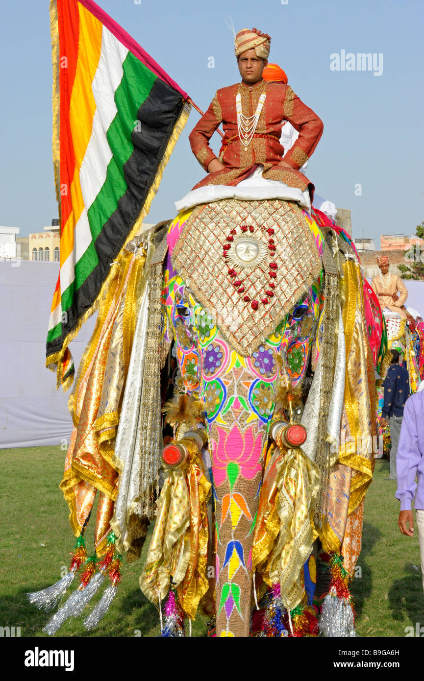 The Elephant Festival of Jaipur, in Rajasthan, India Stock Photo - Alamy