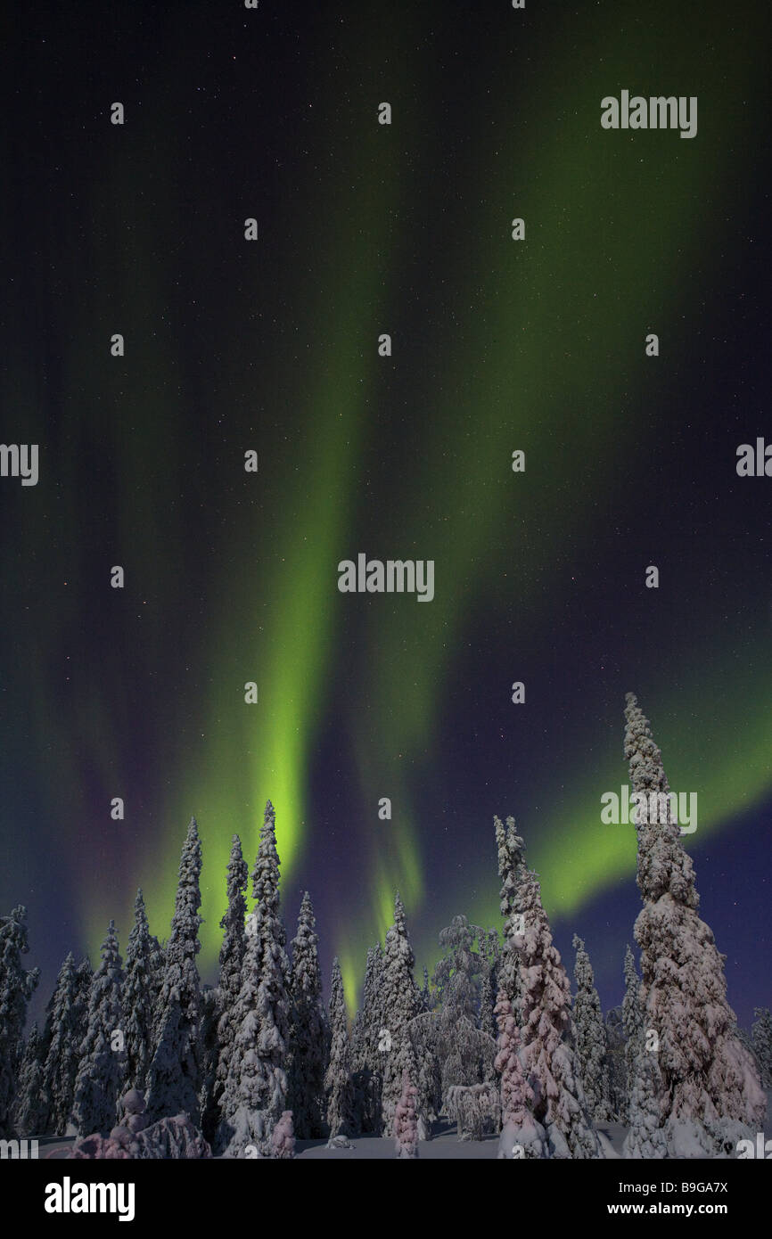 Finland North-light "Aurora borealis" winter-night Scandinavia Lapland ...