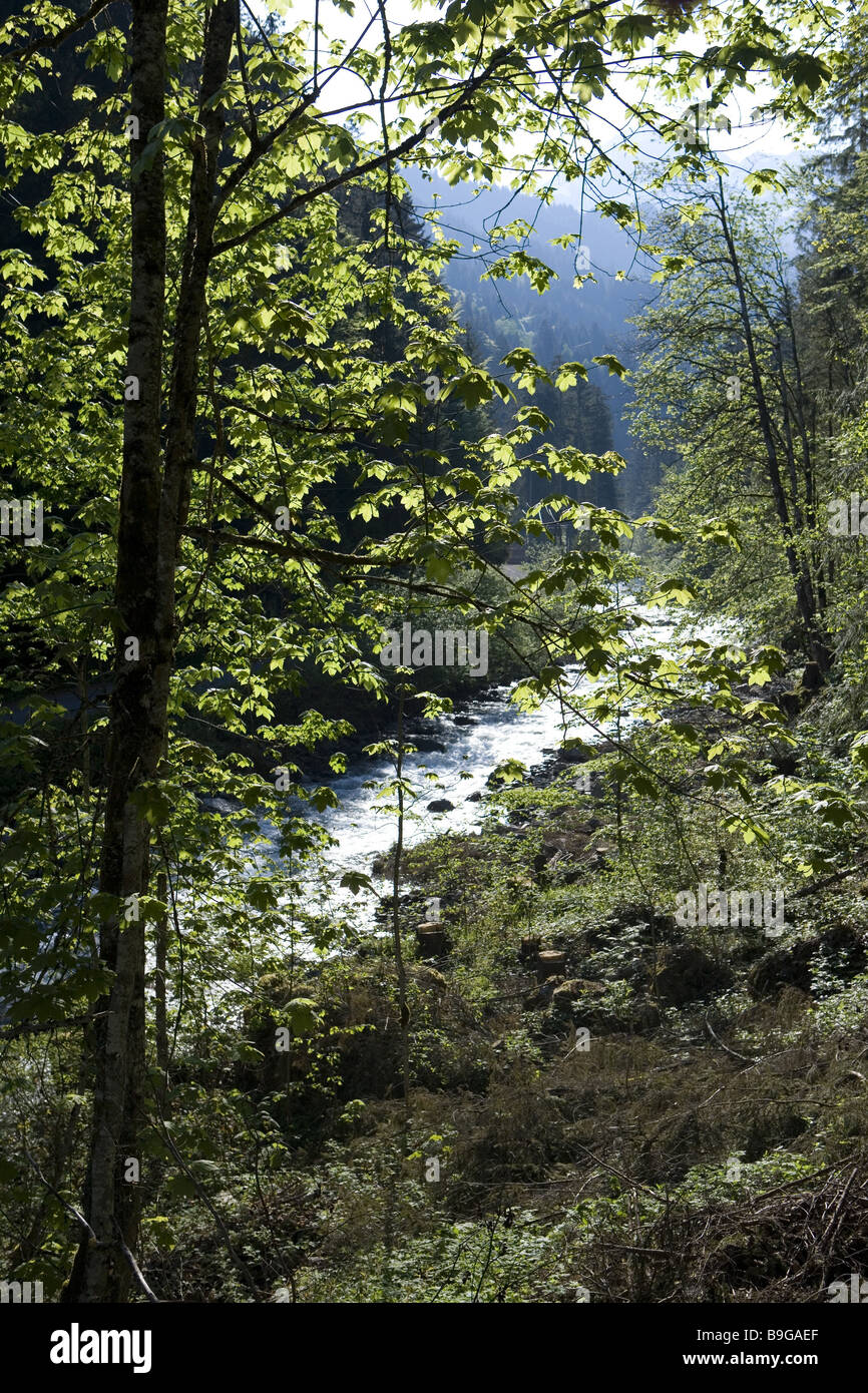 Silver brook hi-res stock photography and images - Alamy