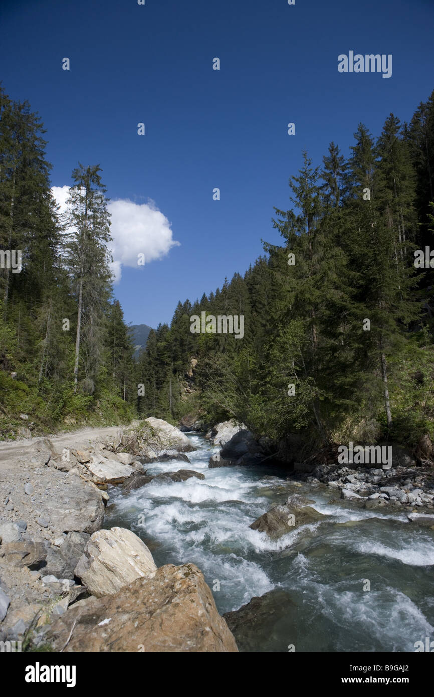 Litz hi-res stock photography and images - Alamy