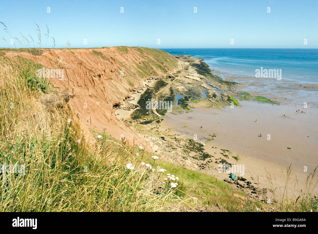 Filey Brigg, North Yorkshire Stock Photo - Alamy