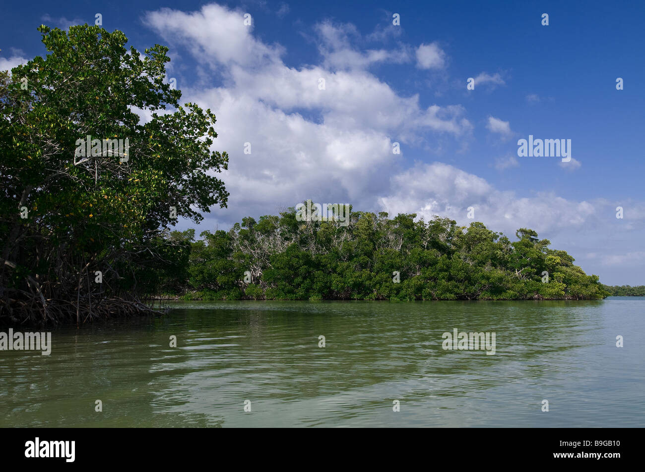 Mangrove forests surround islands in Florida Bay Everglades National ...