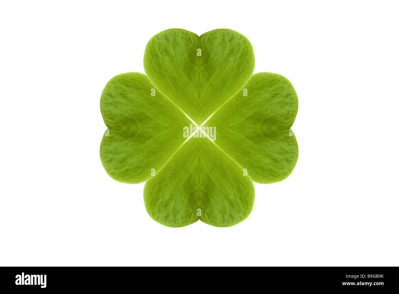 Four green hearts clover hi-res stock photography and images - Alamy