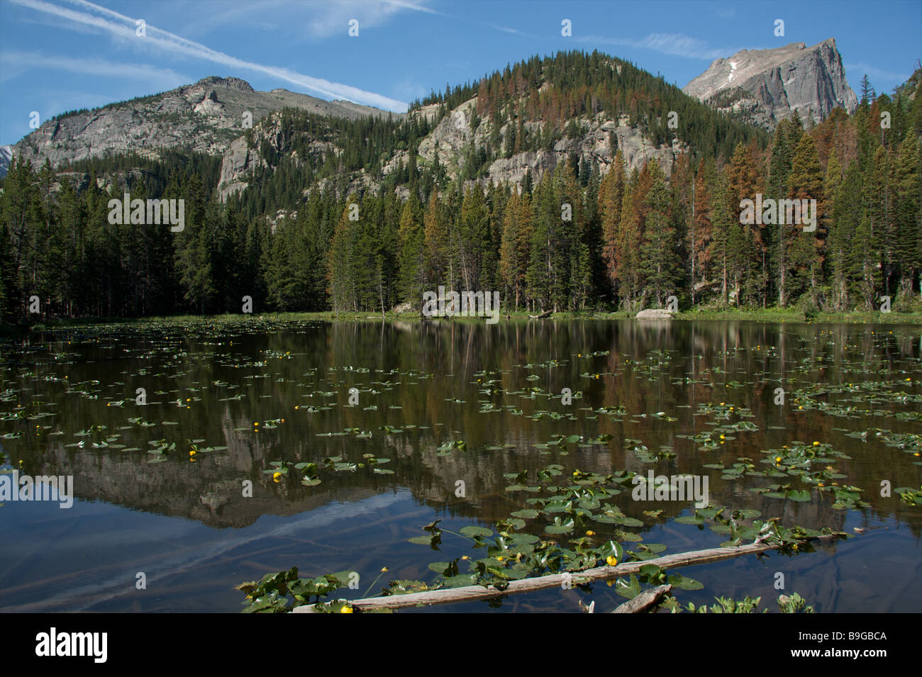 Nymph Lake in Rocky Mountain National Park, Colorado Stock Photo - Alamy