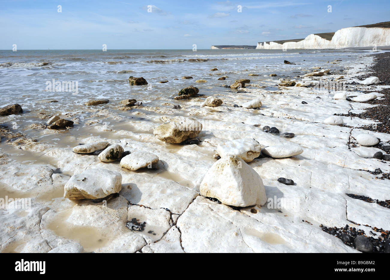 Chalk beach and cliffs along the Seven Sisters viewed from Birling Gap ...