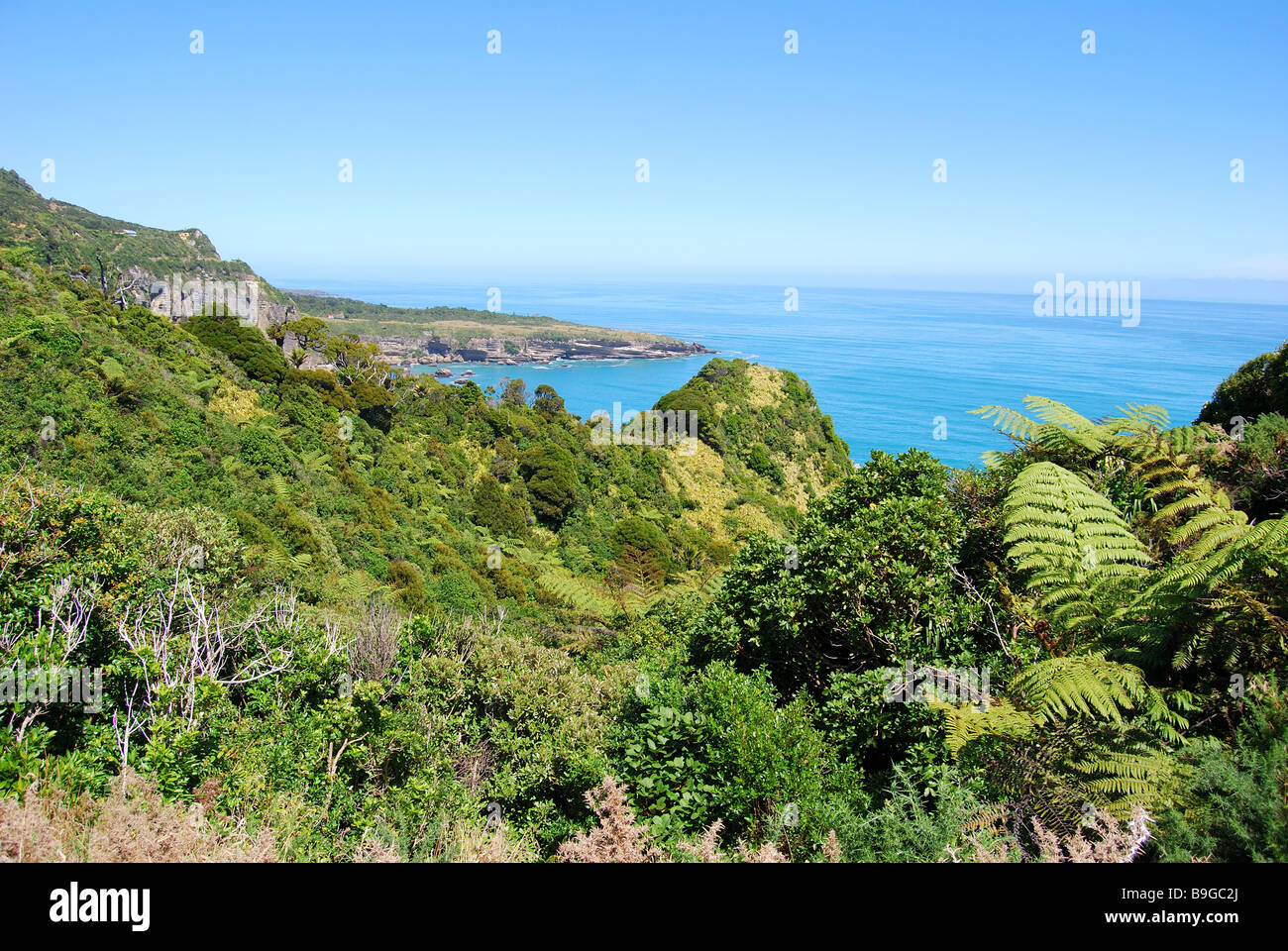 Coastal view, Paparoa National Park, West Coast Region, South Island ...