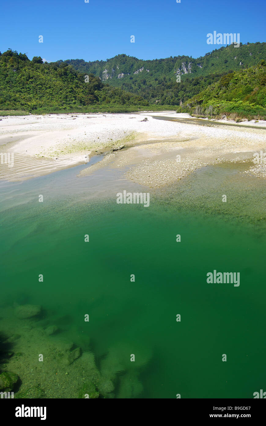 Fox River, Paparoa National Park, West Coast Region, South Island, New ...