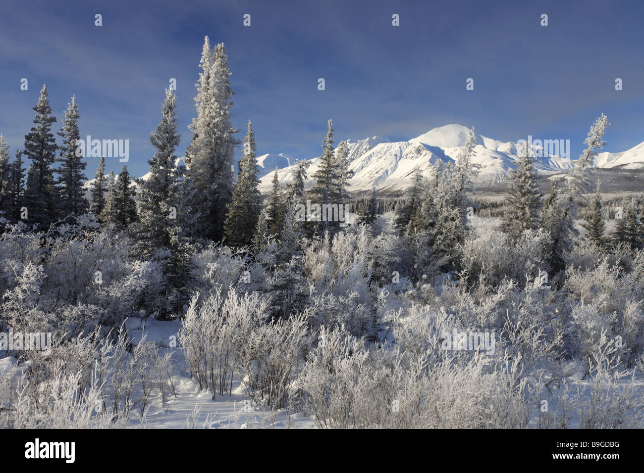 Canada Alaska Yukon Territory Kluane national-park landscape winter ...