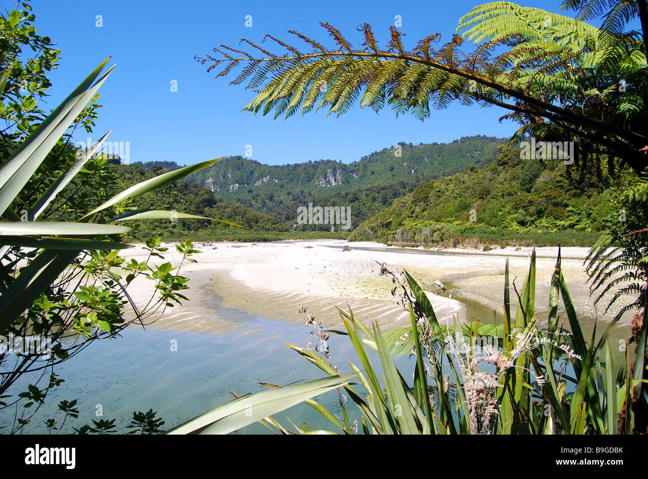 Fox River, Paparoa National Park, West Coast Region, South Island, New ...