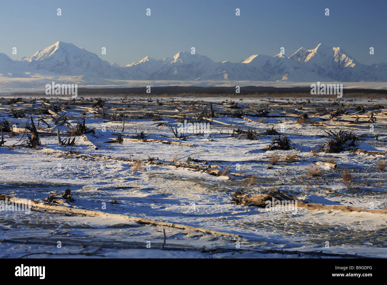 Canada Alaska Yukon Territory delta River riverbed gaze Alaska position ...