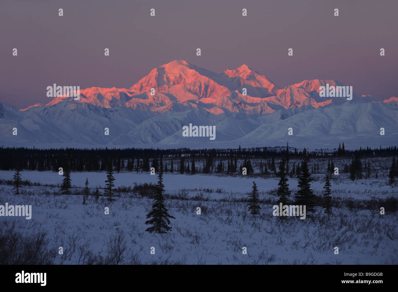 Mount denali, canada hi-res stock photography and images - Alamy