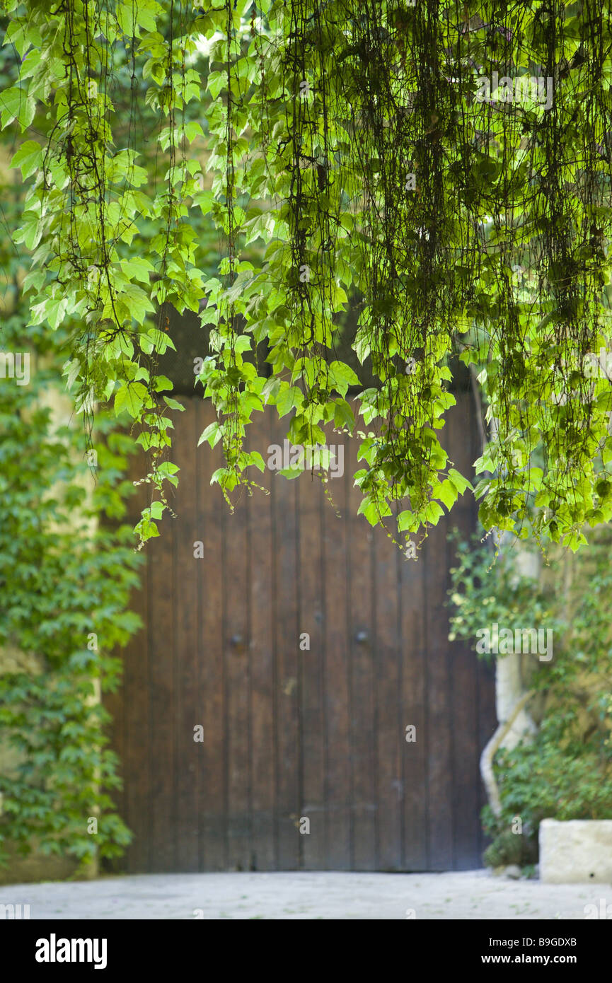 Wood-gate climbing plants detail series garden gate wooden plants ...