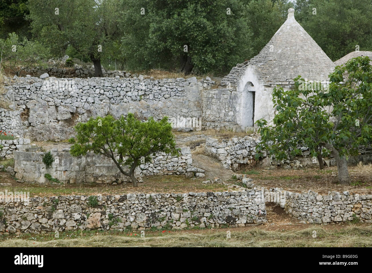 Italy Apulia Cisternino Trullo walls southeast-Italy destination sight ...