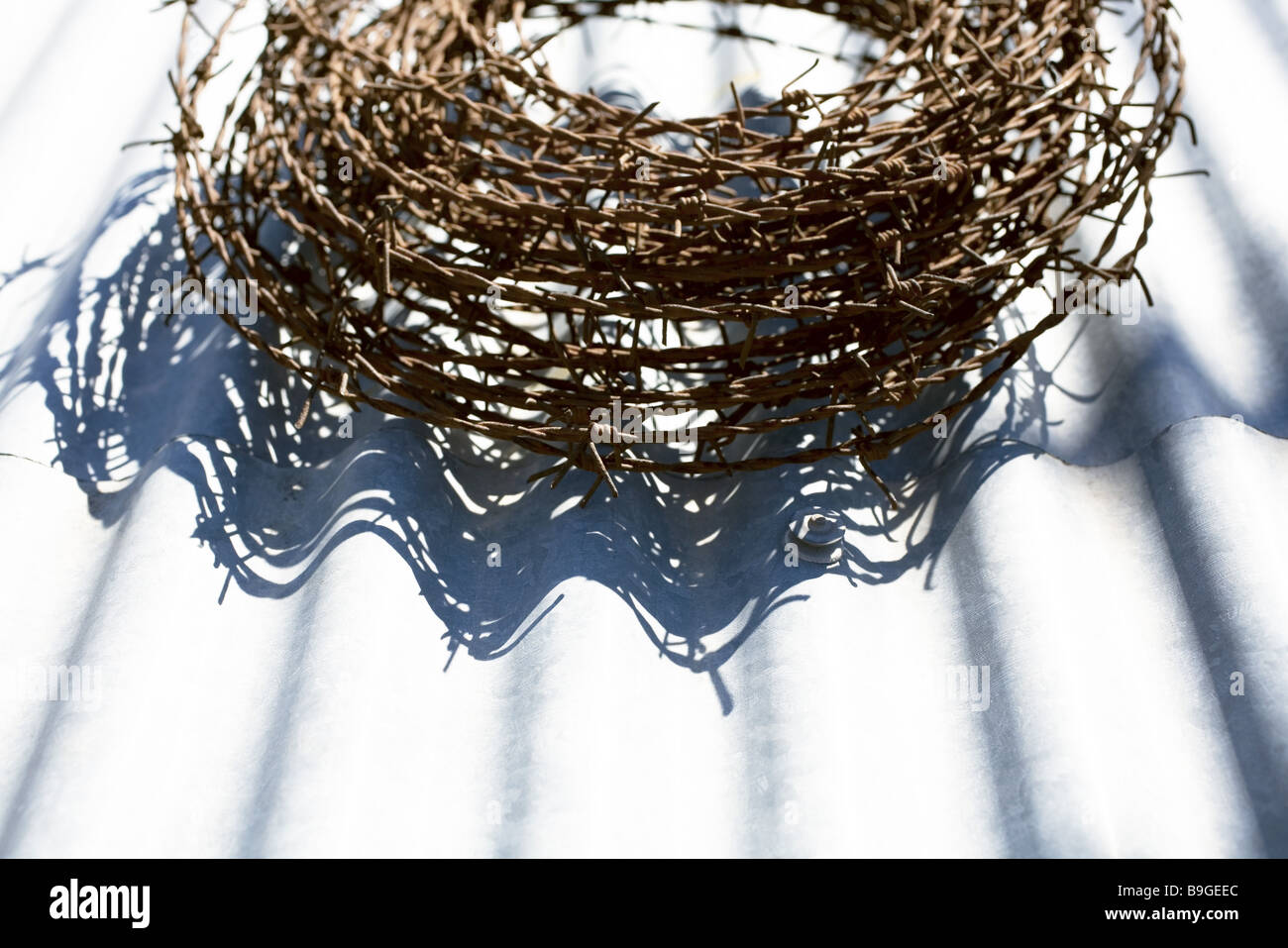 Barbed Wire Open Range