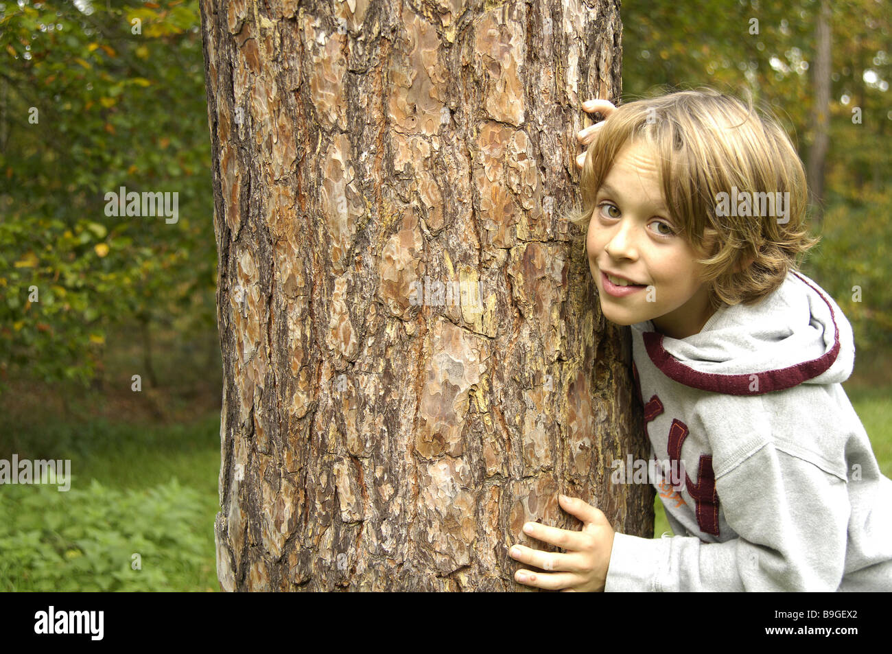 Child boy forest plays log hiding forth-looks portrait 8-12 years blond ...