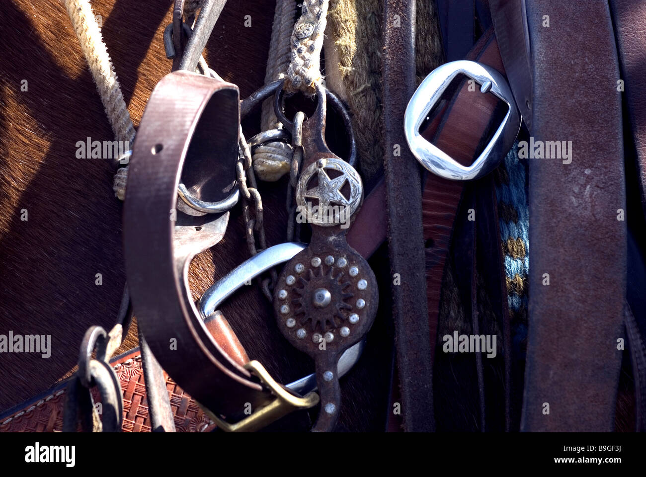 Cowboy Ropin' Gear Stock Photo - Alamy