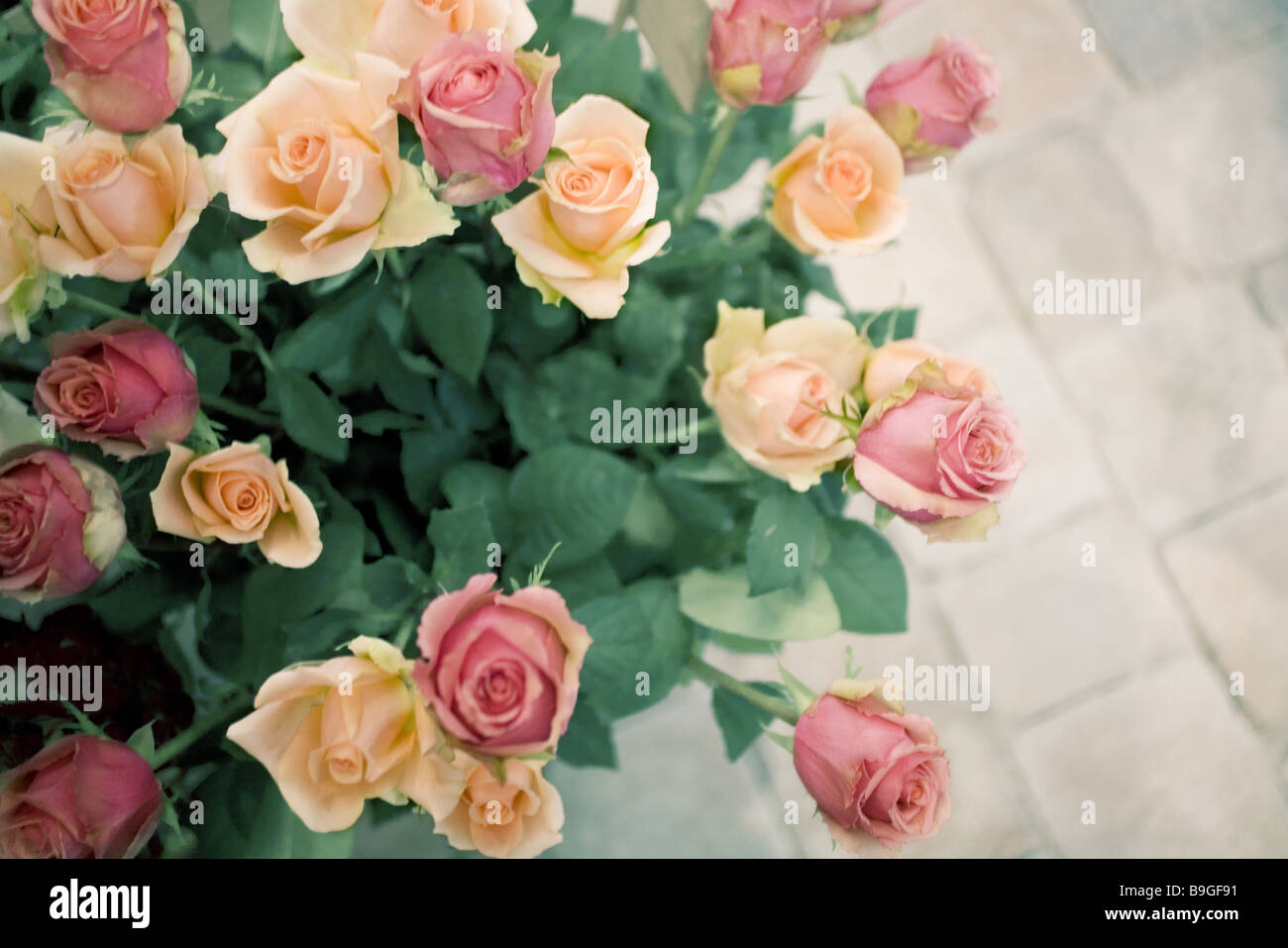 Top down view bouquet roses hi-res stock photography and images - Alamy